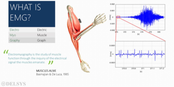 Teaching Resources for an Introduction to Electromyography (EMG ...
