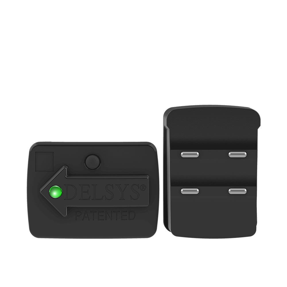 Company - Delsys Europe